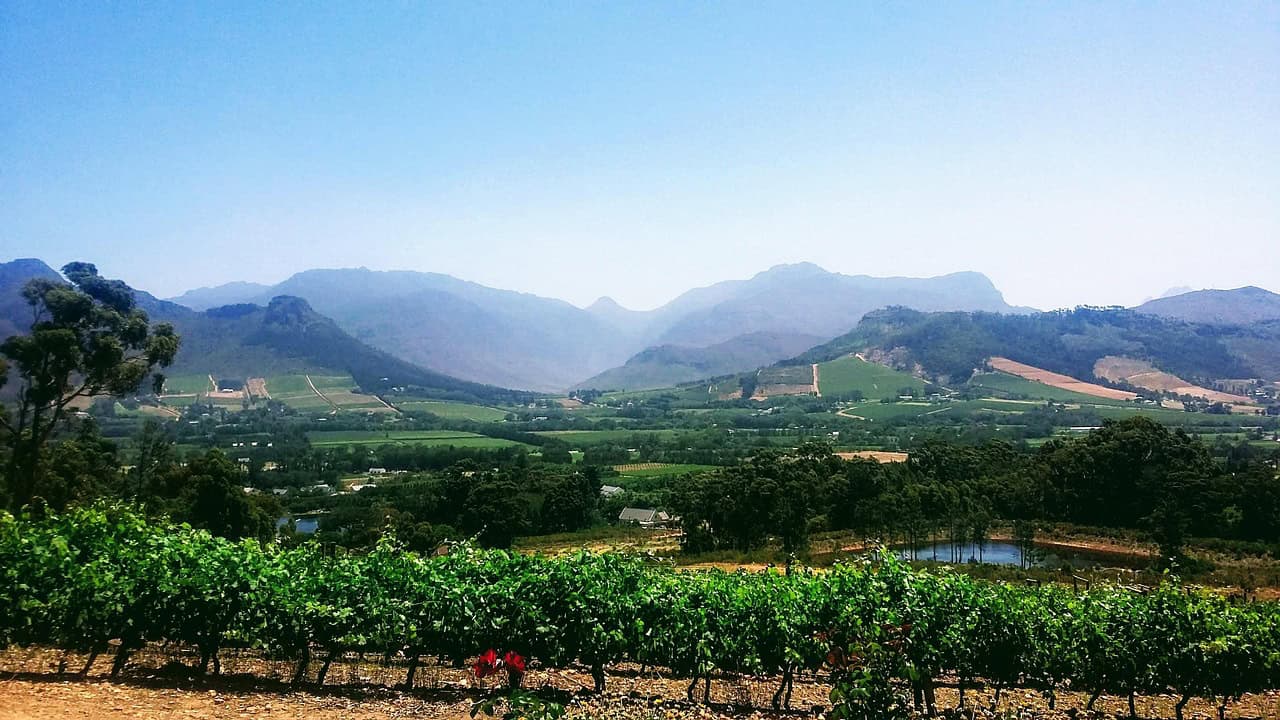 Vineyard and Winery Wedding Venues in California and How Much they Cost ...